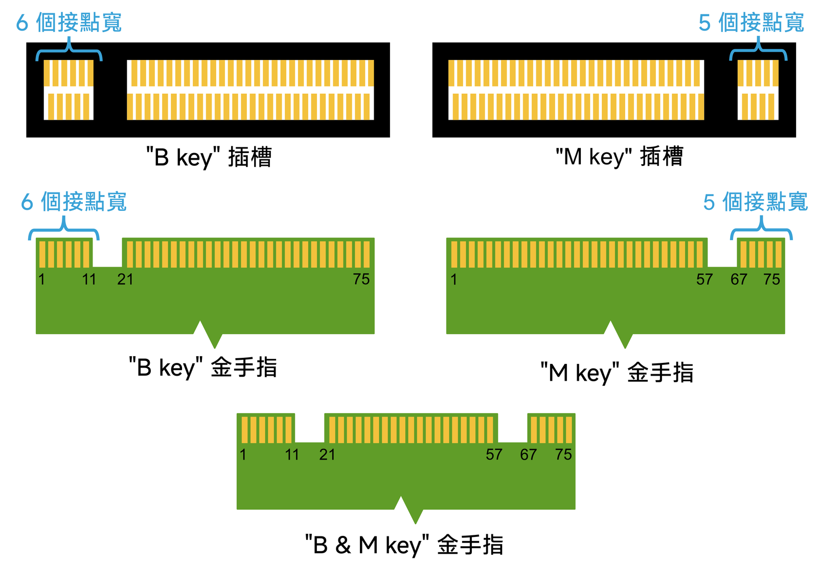 如何分辨 M.2 SSD 是 NVMe 還是 SATA 協議，並選購正確的外接盒?
